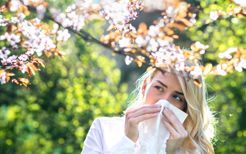 What is hay fever? | Check out our easy-to-read guide to hay fever - UK ...